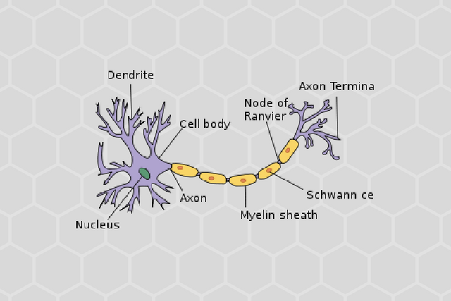 Introduction to Artificial Neural Networks- CodeProject Introduction to Artificial Neural Networks- CodeProject
