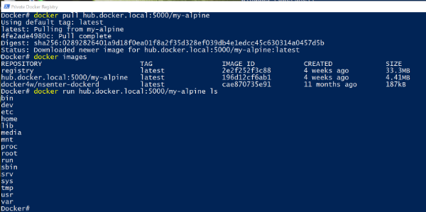 How To Setup Our Own Private Docker Registry Codeproject