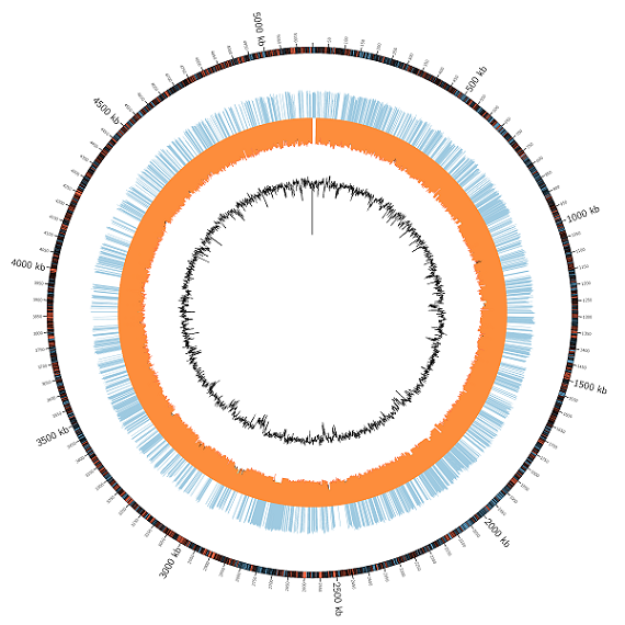 Powerful Shellscript For Bioinformatics Researchers Codeproject