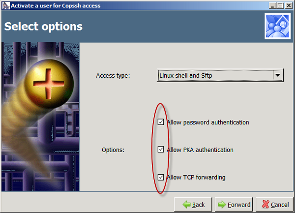 Step By Step Setup Git Server On Windows With Copssh Msysgit And Integrate Git With Visual