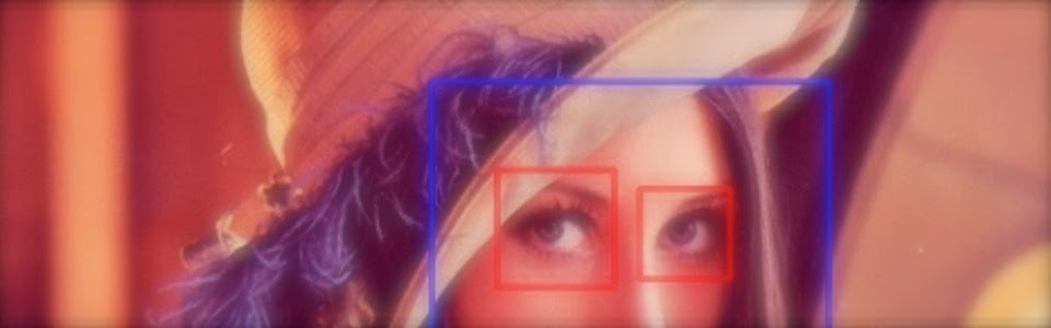 Camera Face Detection In C Using Emgu Cv And Wpf Codeproject