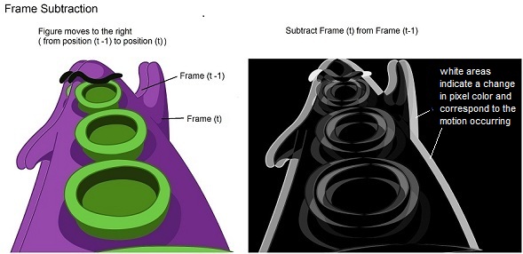 An Introduction To Opencv Displaying And Manipulating Video And Motion Data Codeproject