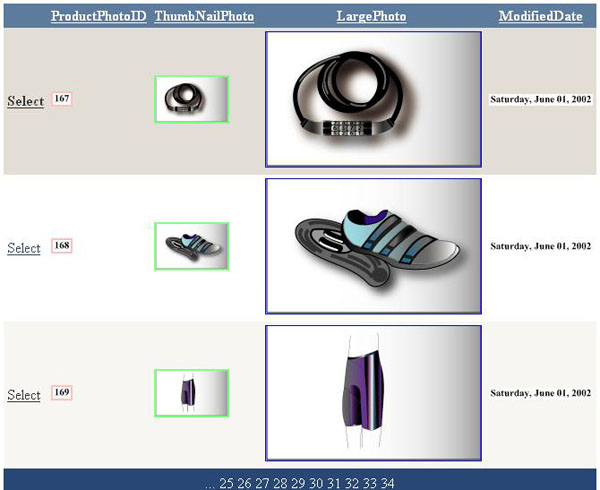 Aspnet 20 Vs Custom Renderer Data Bindable Image Control Codeproject